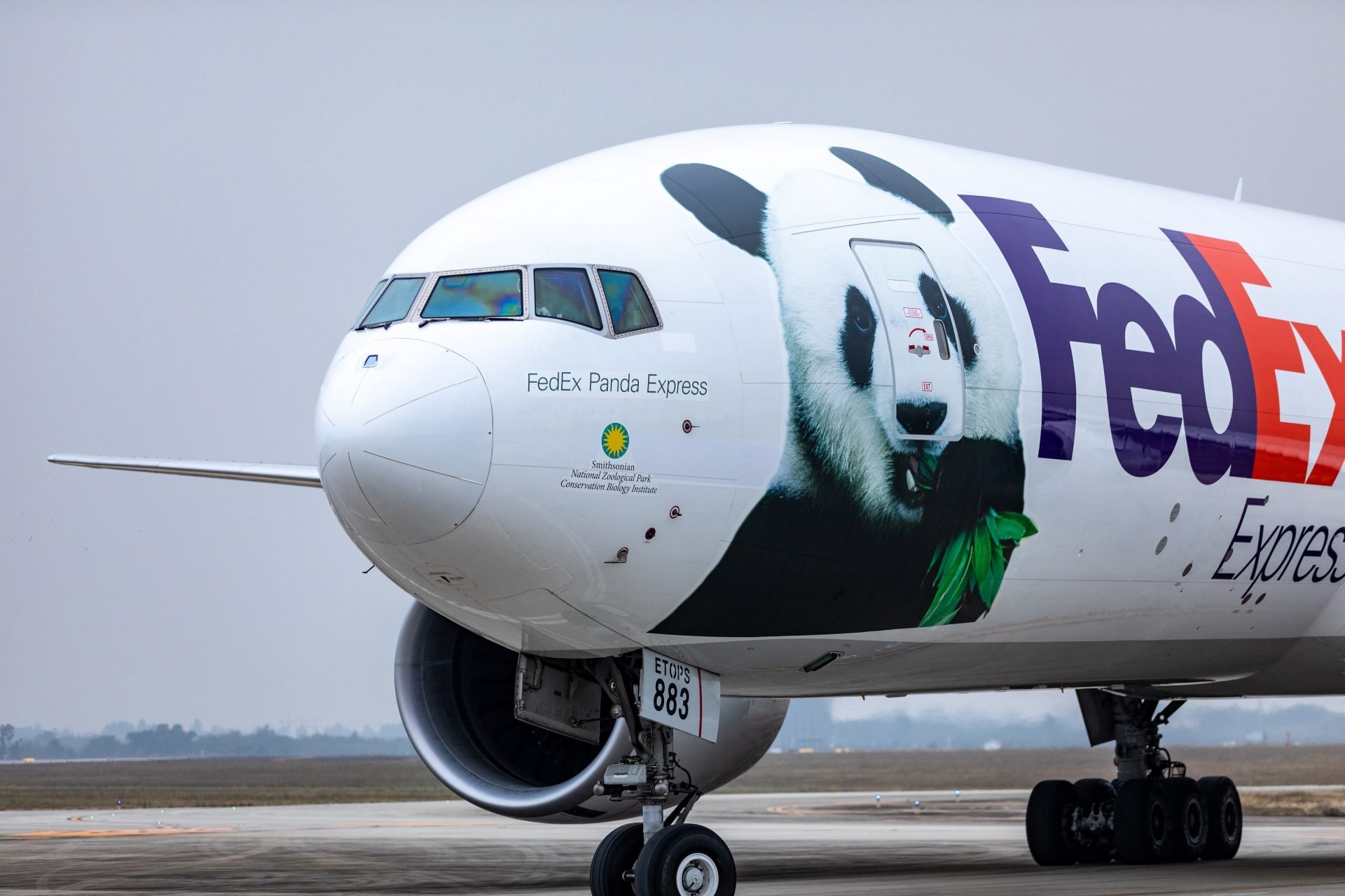 Giant Panda Bei Bei Arrives in China on Board the FedEx Panda Express ...