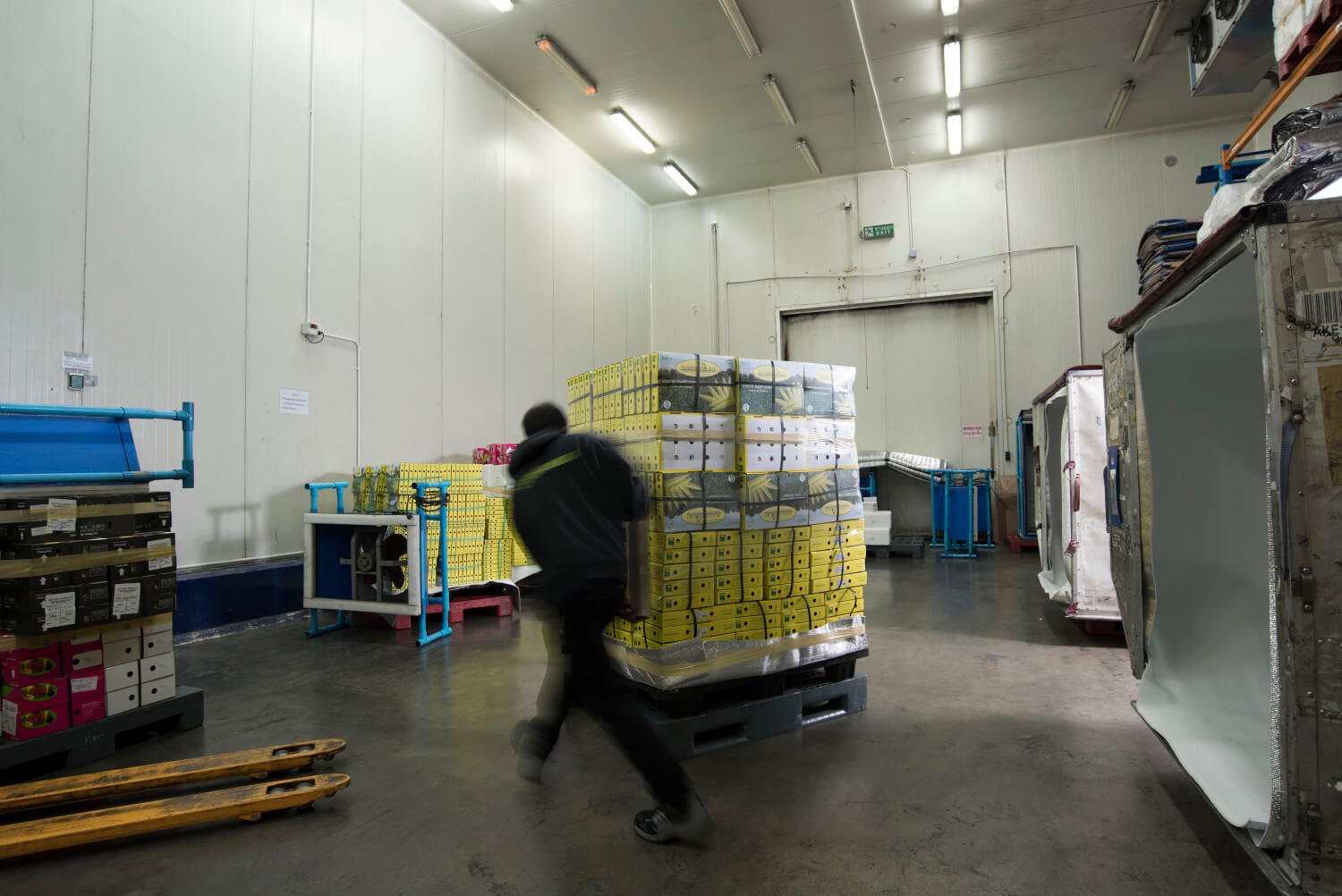 Finding and Fixing Gaps in the Cool Chain - Airfreight Logistics