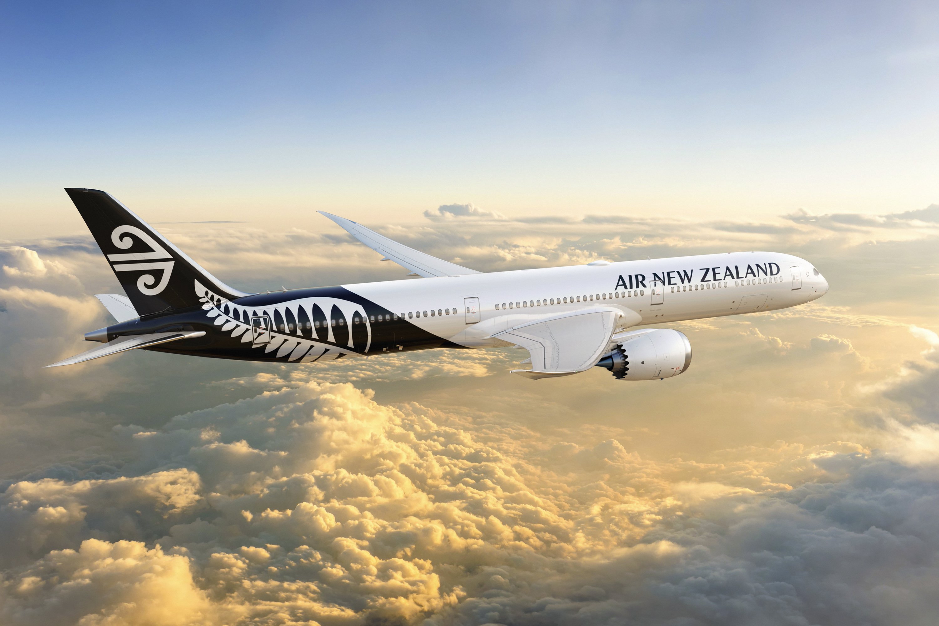 Air New Zealand 787 10 Dreamliner Airfreight Air New Zealand 787 10 Dreamliner Airfreight