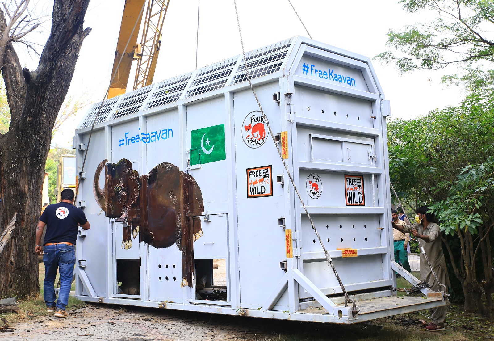 DHL Safely Relocates “The World’s Loneliest Elephant” - Airfreight ...