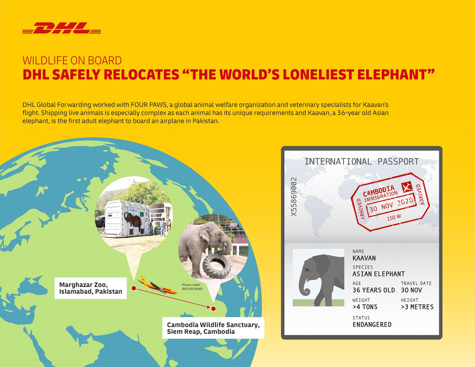 DHL Safely Relocates “The World’s Loneliest Elephant” - Airfreight ...