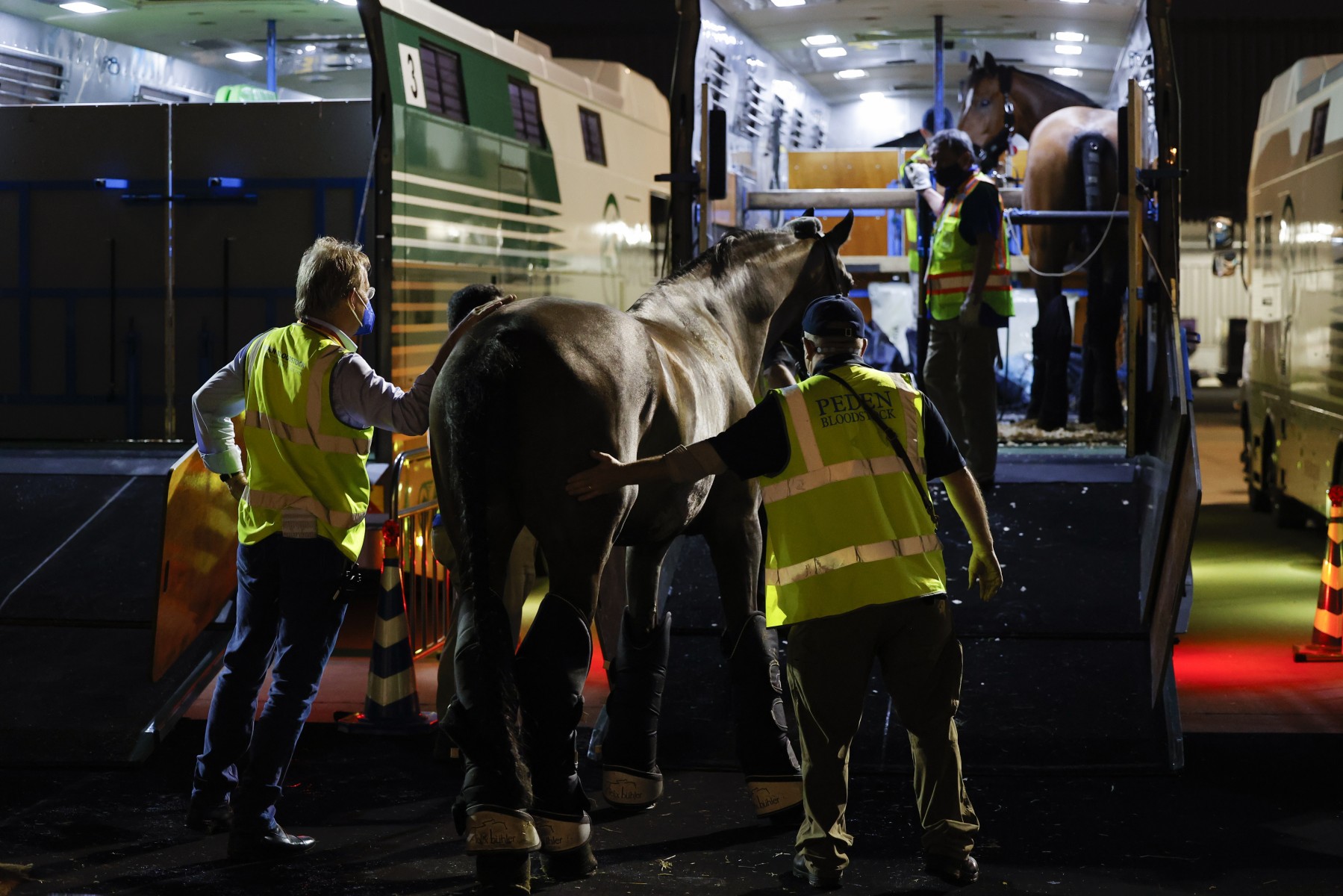Equine champions fly home on Emirates SkyCargo - Airfreight Logistics