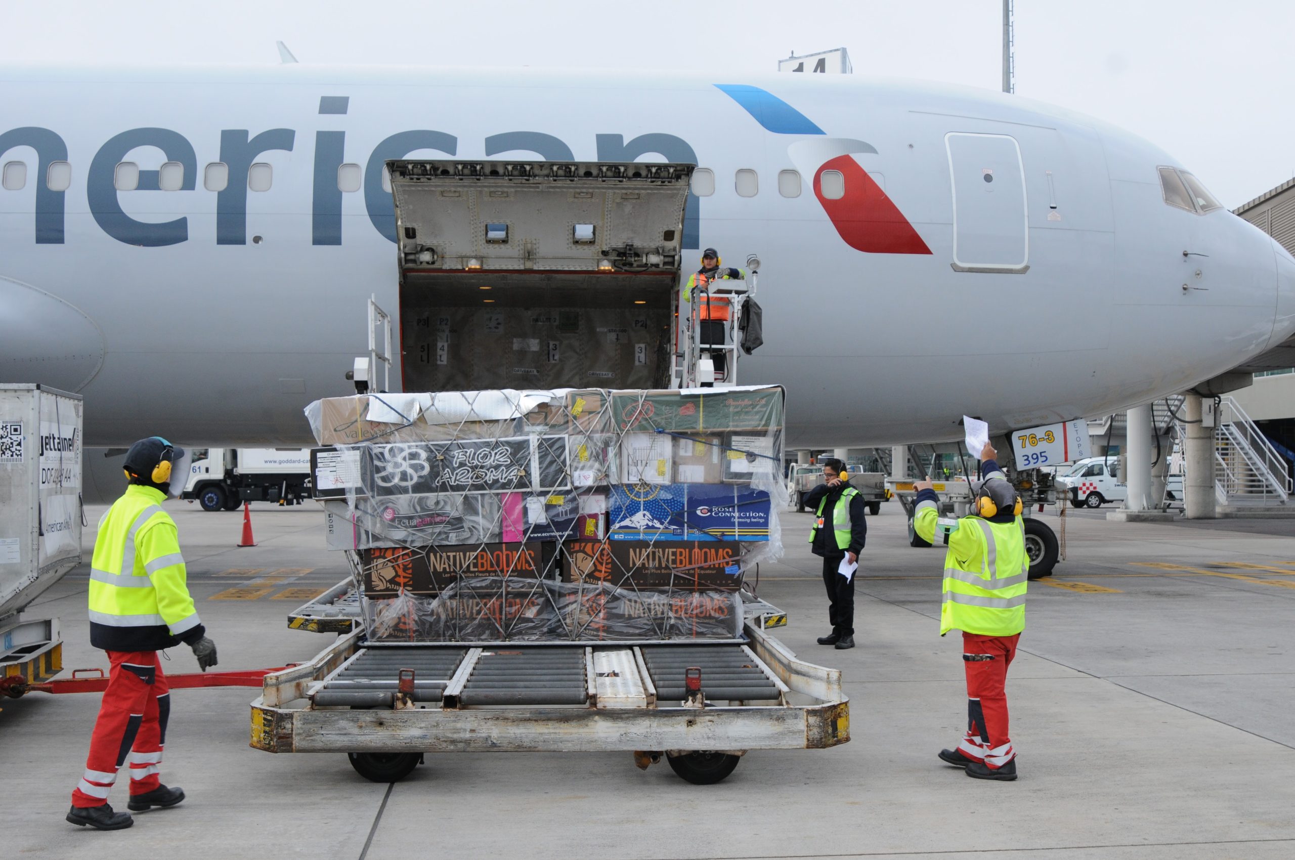 American Airline Cargo transports Fresh Flowers - Airfreight Logistics