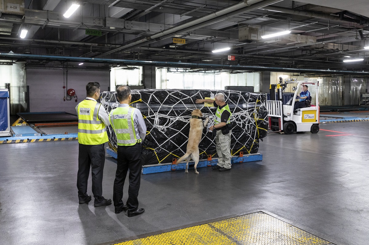 Qatar Airways Cargo and Hactl partner in Canine Detection