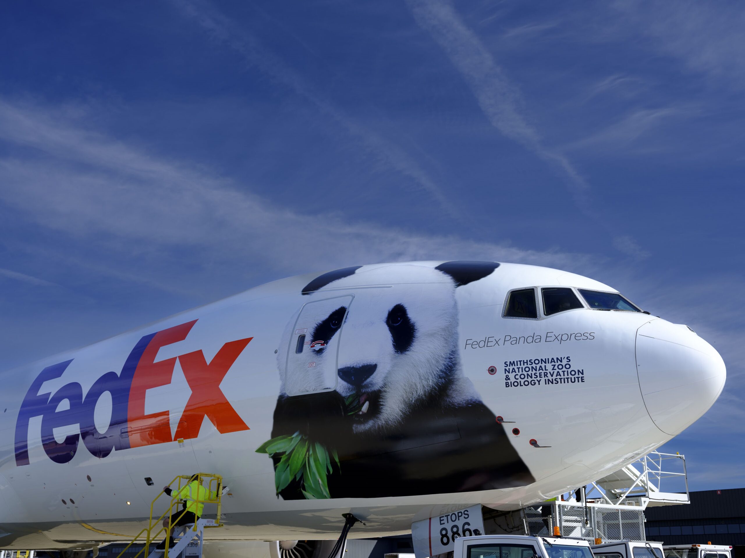 FedEx Sends Giant Pandas to China - Airfreight Logistics