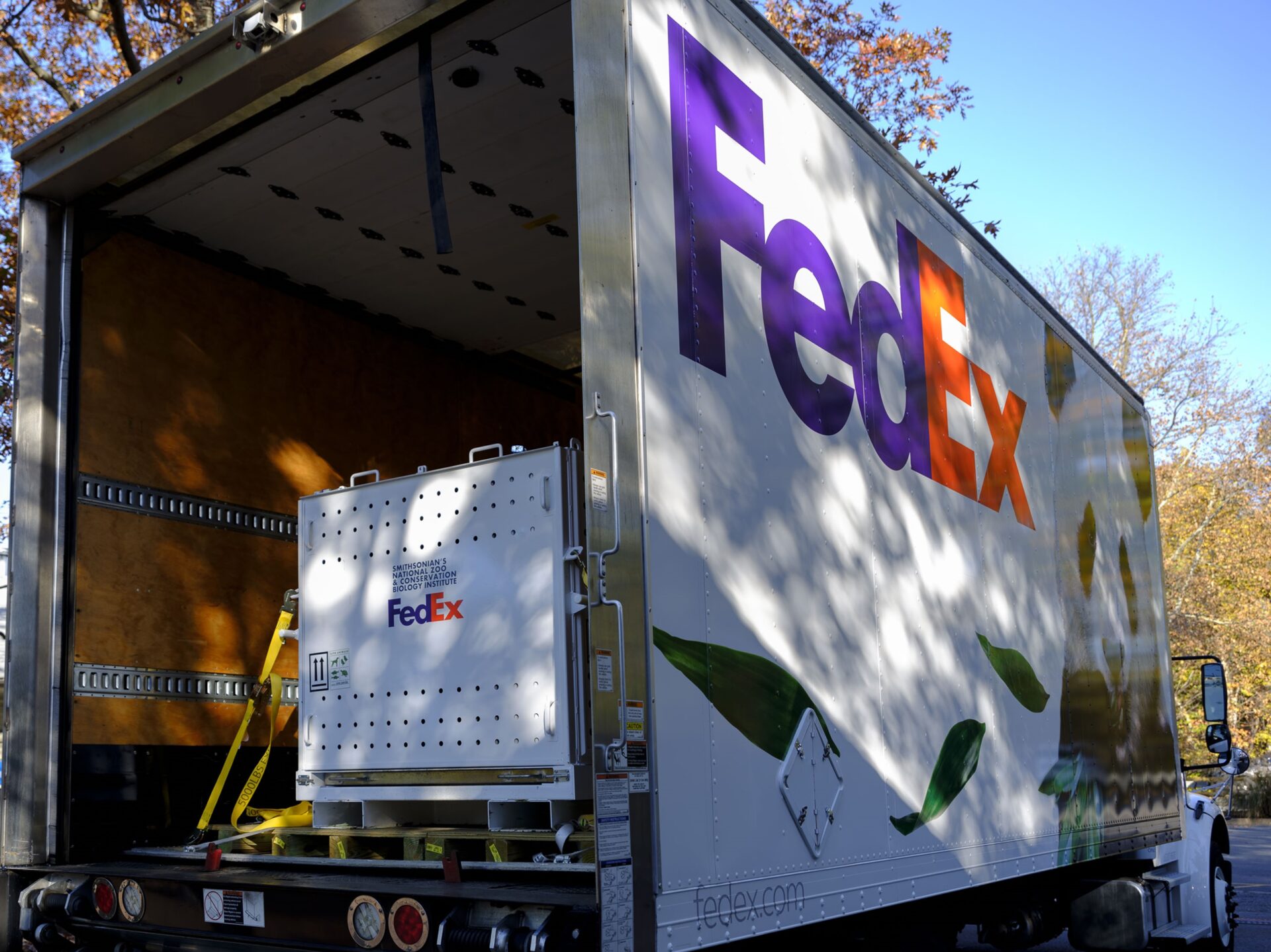 FedEx Sends Giant Pandas to China - Airfreight Logistics