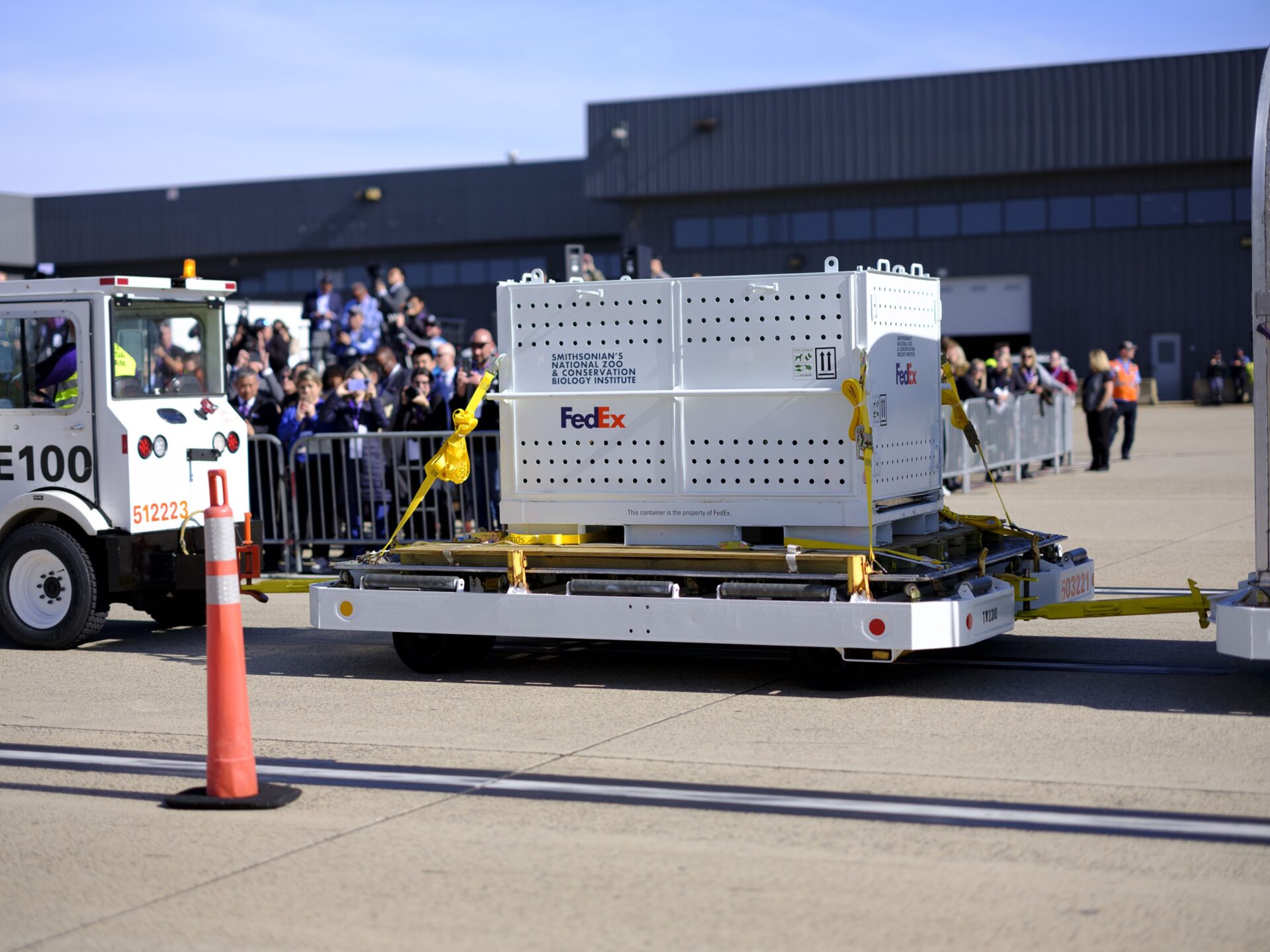 FedEx Sends Giant Pandas to China - Airfreight Logistics
