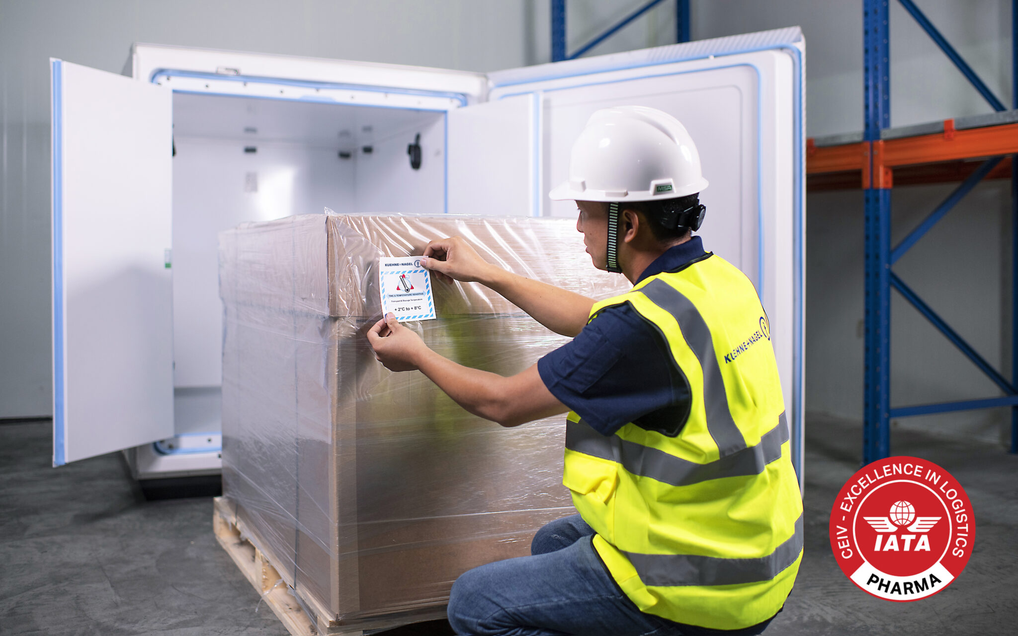 Kuehne+Nagel’s Healthcare Air Logistics Network receives IATA CEIV ...