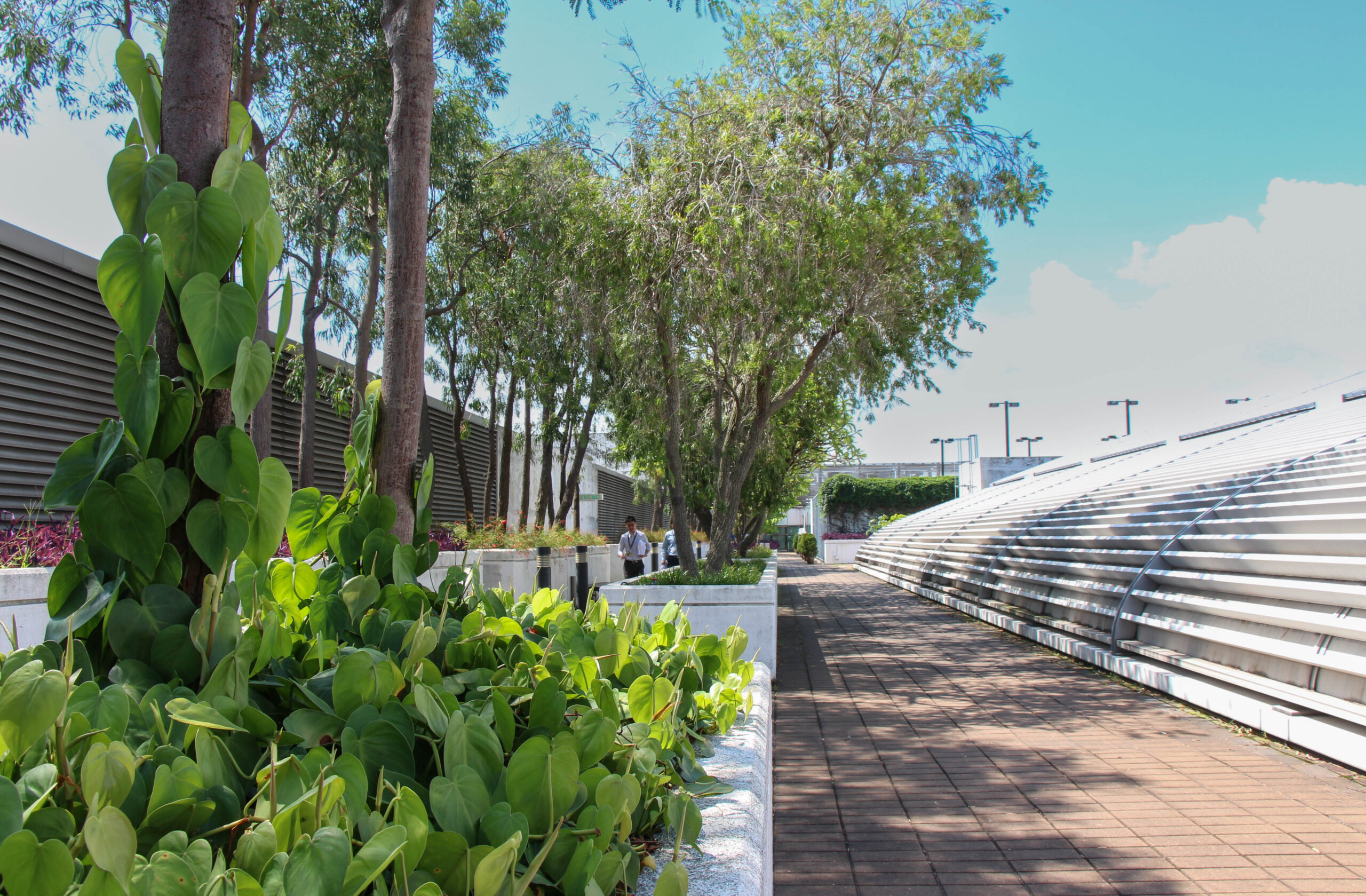 SBTi อนุมัติเป้าหมายลดก๊าซเรือนกระจกของ Hactl - Airfreight Logistics